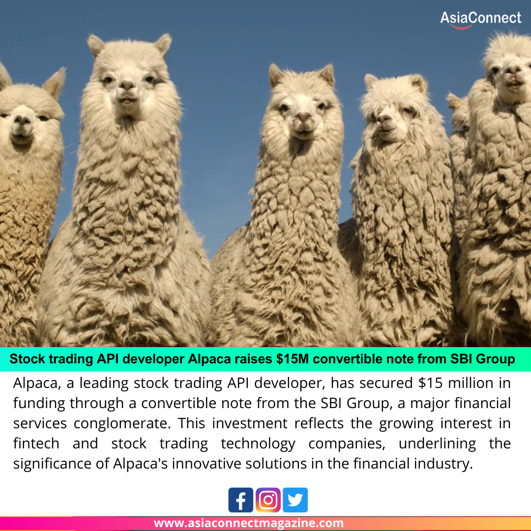 Stock trading API developer Alpaca raises $15M convertible note from ...